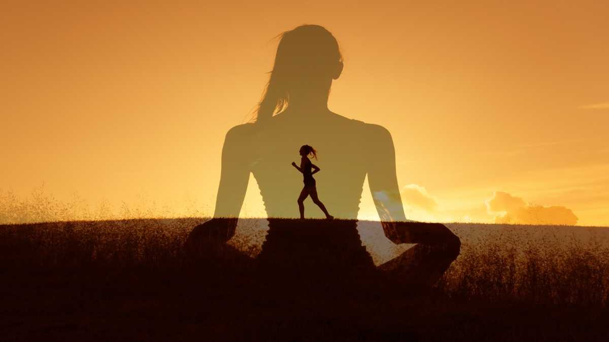 Unraveling the Science Behind the Mind-Body Connection - InnerLight Journal